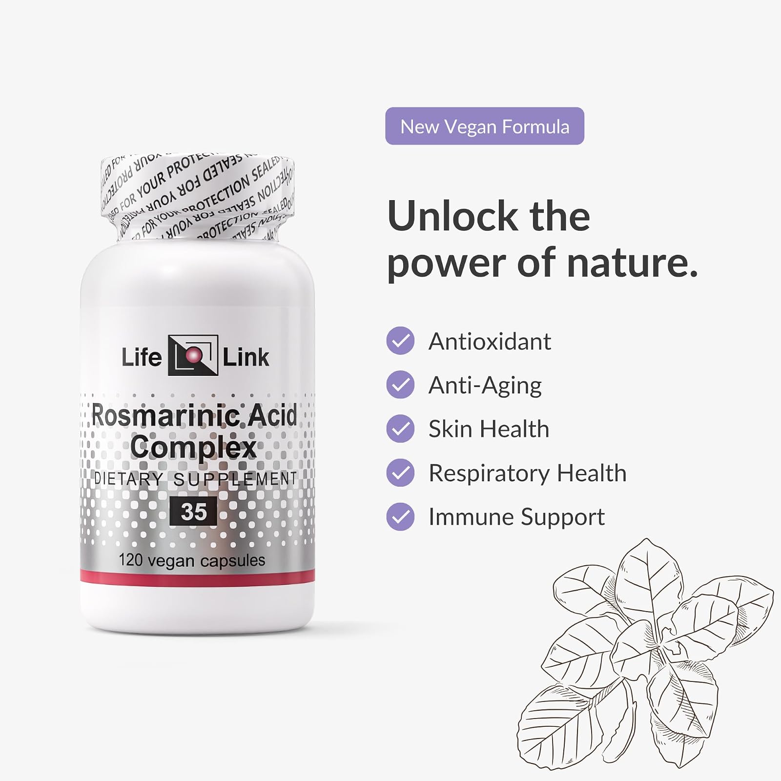 natural antioxidant supplement capsules