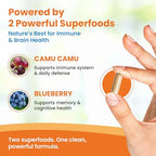 natural antioxidant supplement capsules