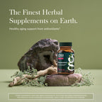 natural antioxidant supplement for health