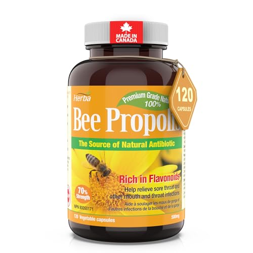 Natural antioxidant supplement for wellness