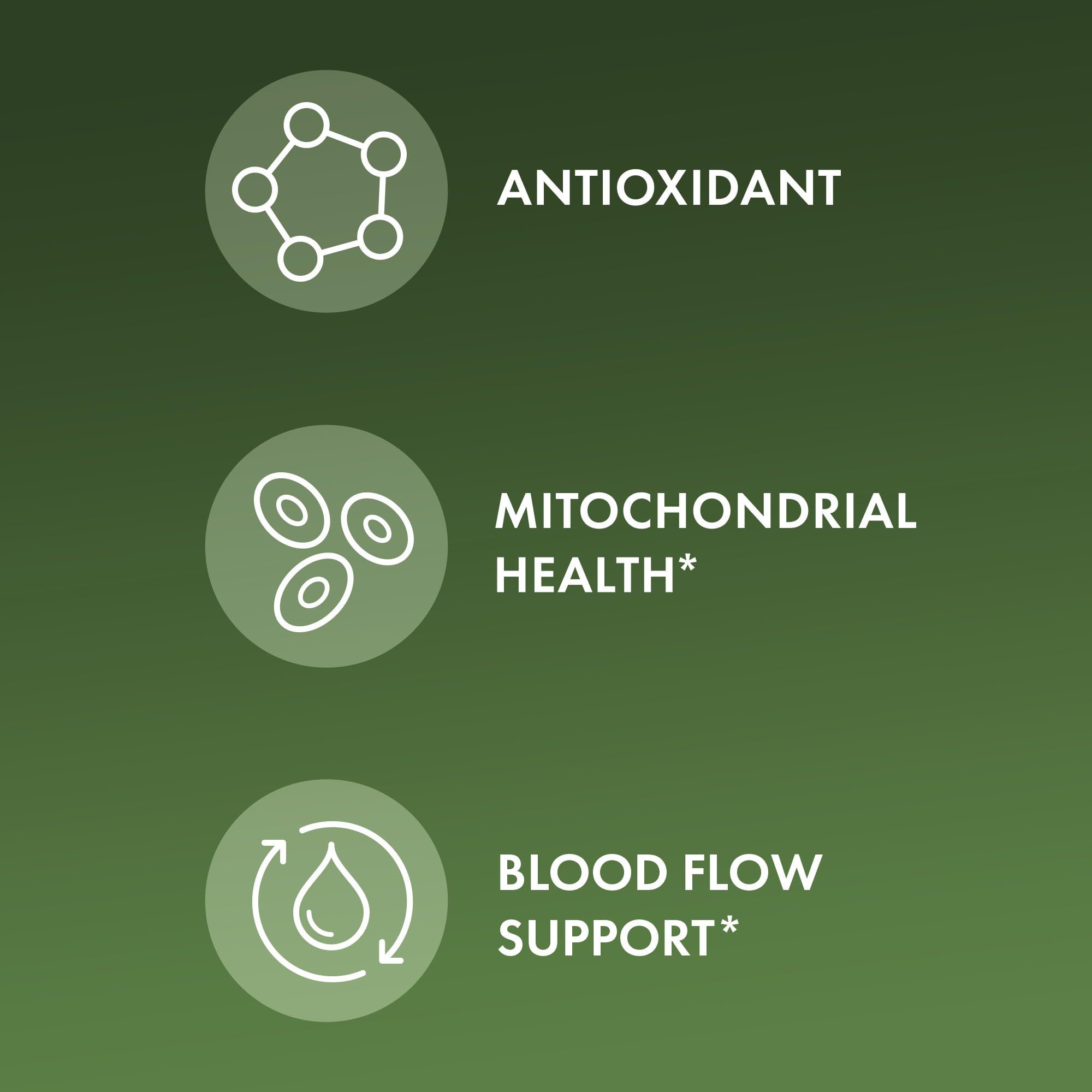 natural antioxidant supplement for wellness