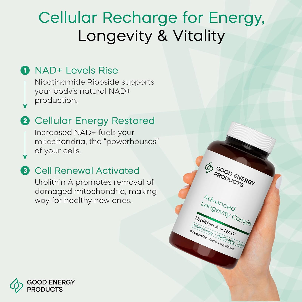 Natural antioxidant support capsules