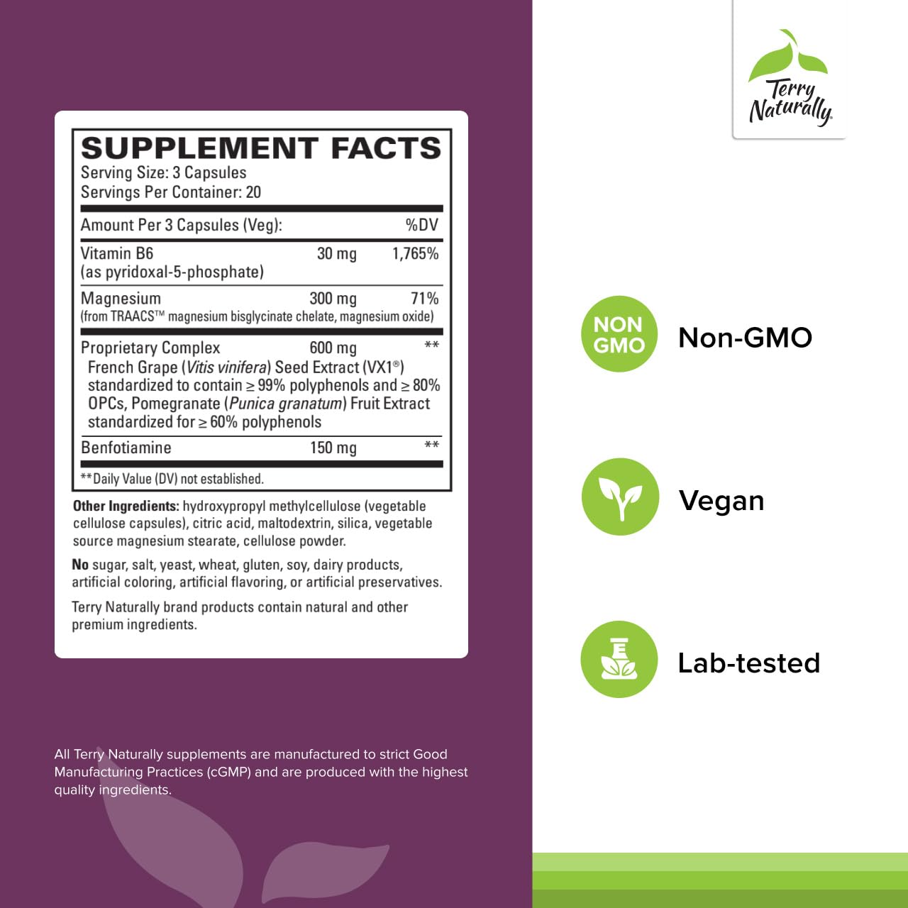 Natural antioxidant support capsules