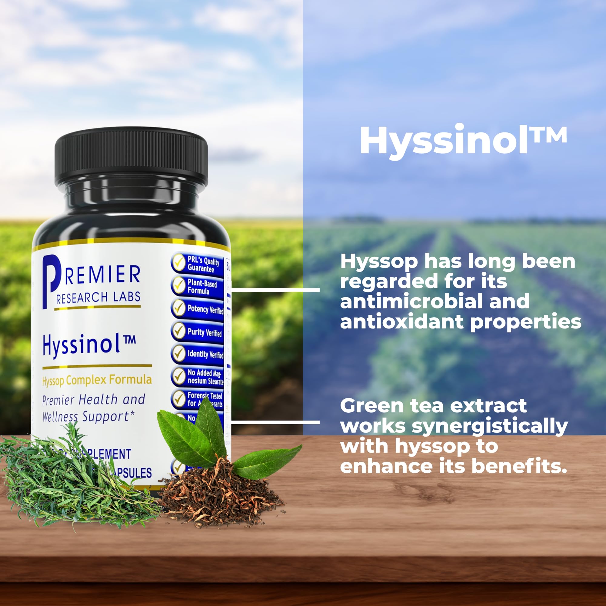 natural antioxidant support capsules