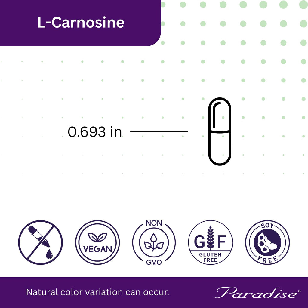 natural antioxidant support for daily health
