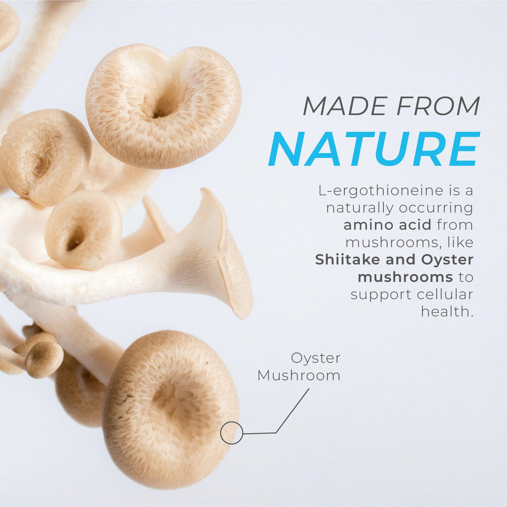 natural antioxidant support for wellness