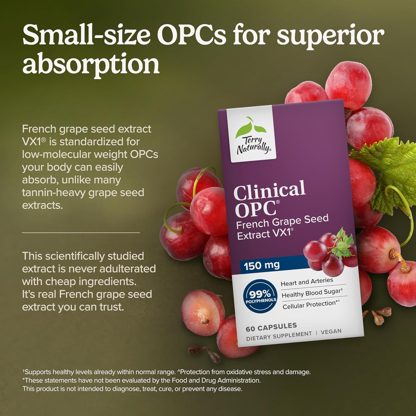 Natural antioxidant support grape seed extract