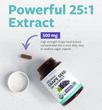 natural antioxidant support supplement