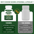 Natural antioxidant support supplement