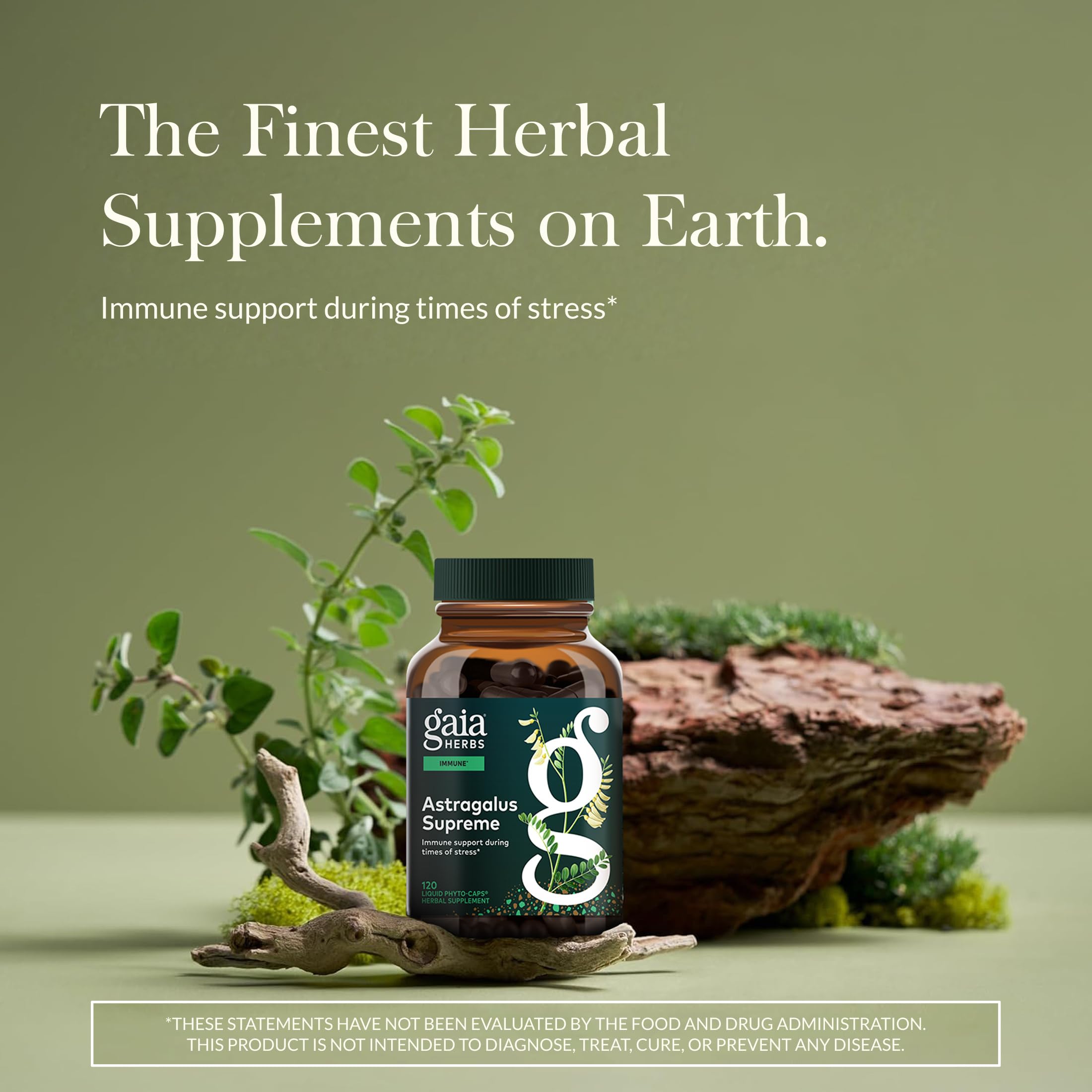 Natural antioxidant support with astragalus