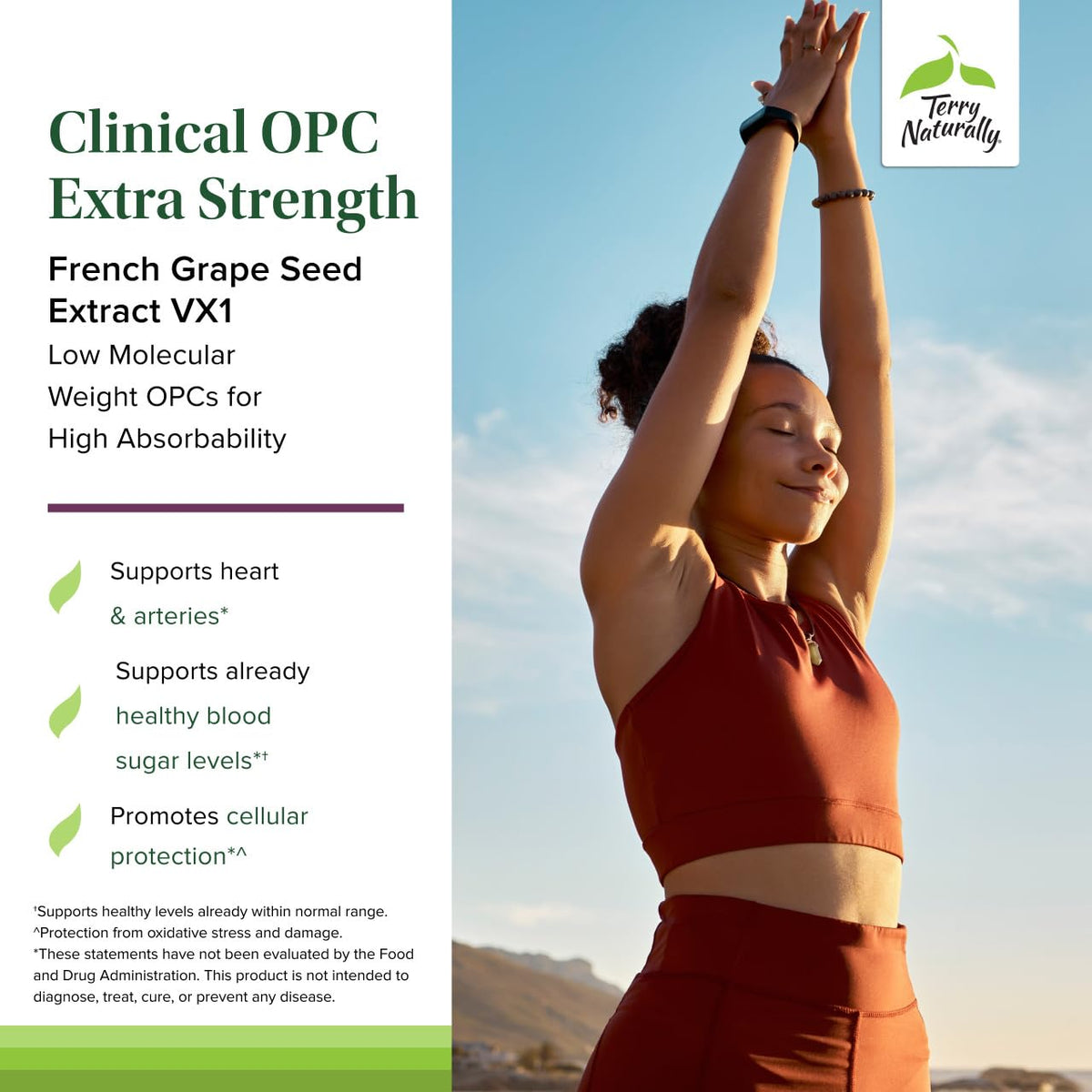 Natural antioxidant support with grape seed extract