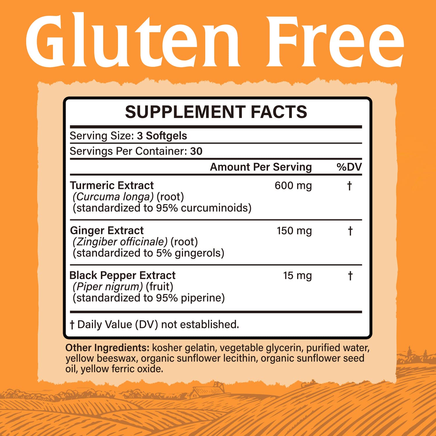 natural antioxidant turmeric supplement