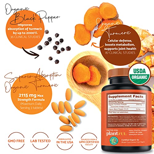 natural antioxidant turmeric tablets