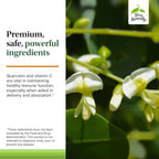natural antioxidant vitamin C formula