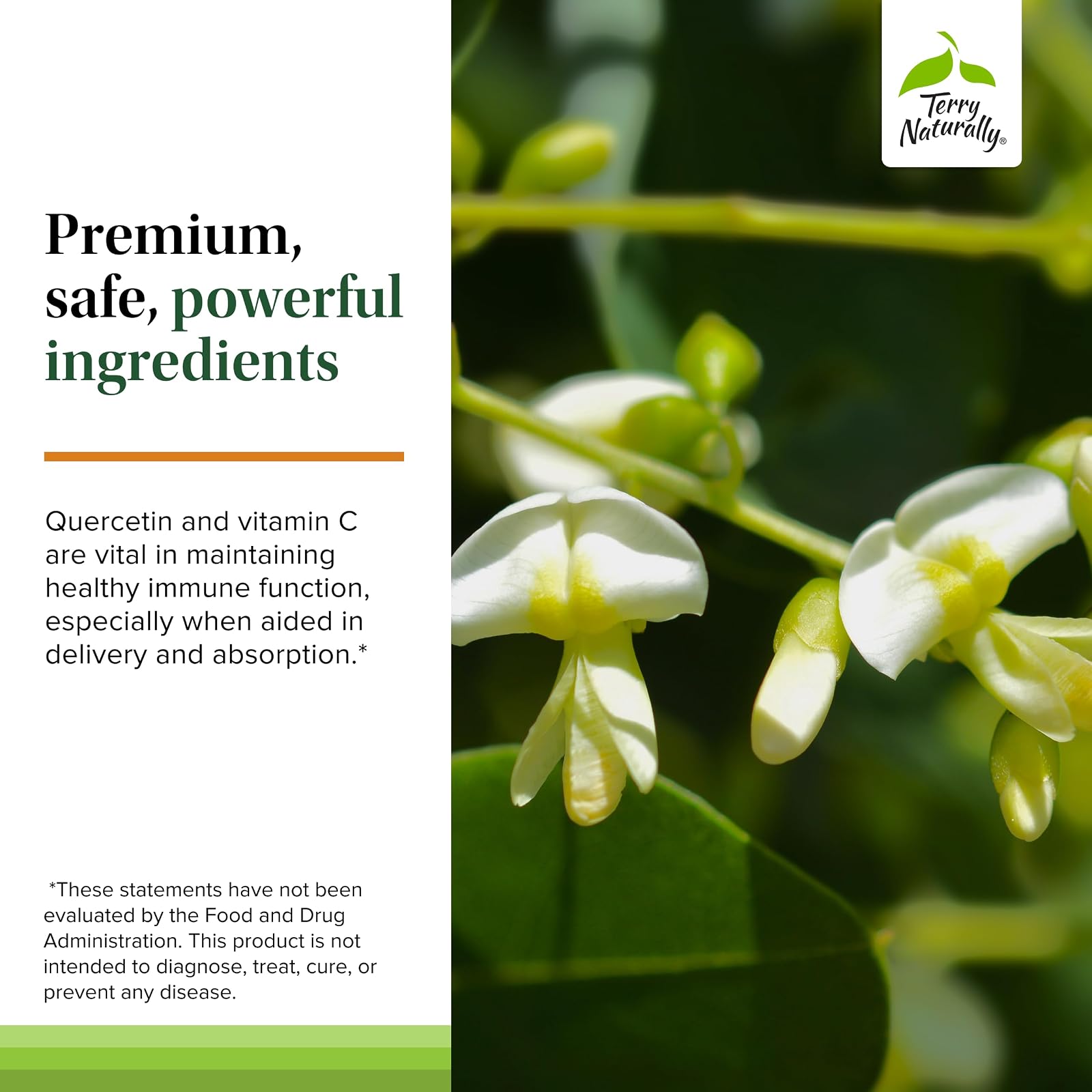 natural antioxidant vitamin C formula