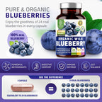 natural antioxidant wild blueberry capsules