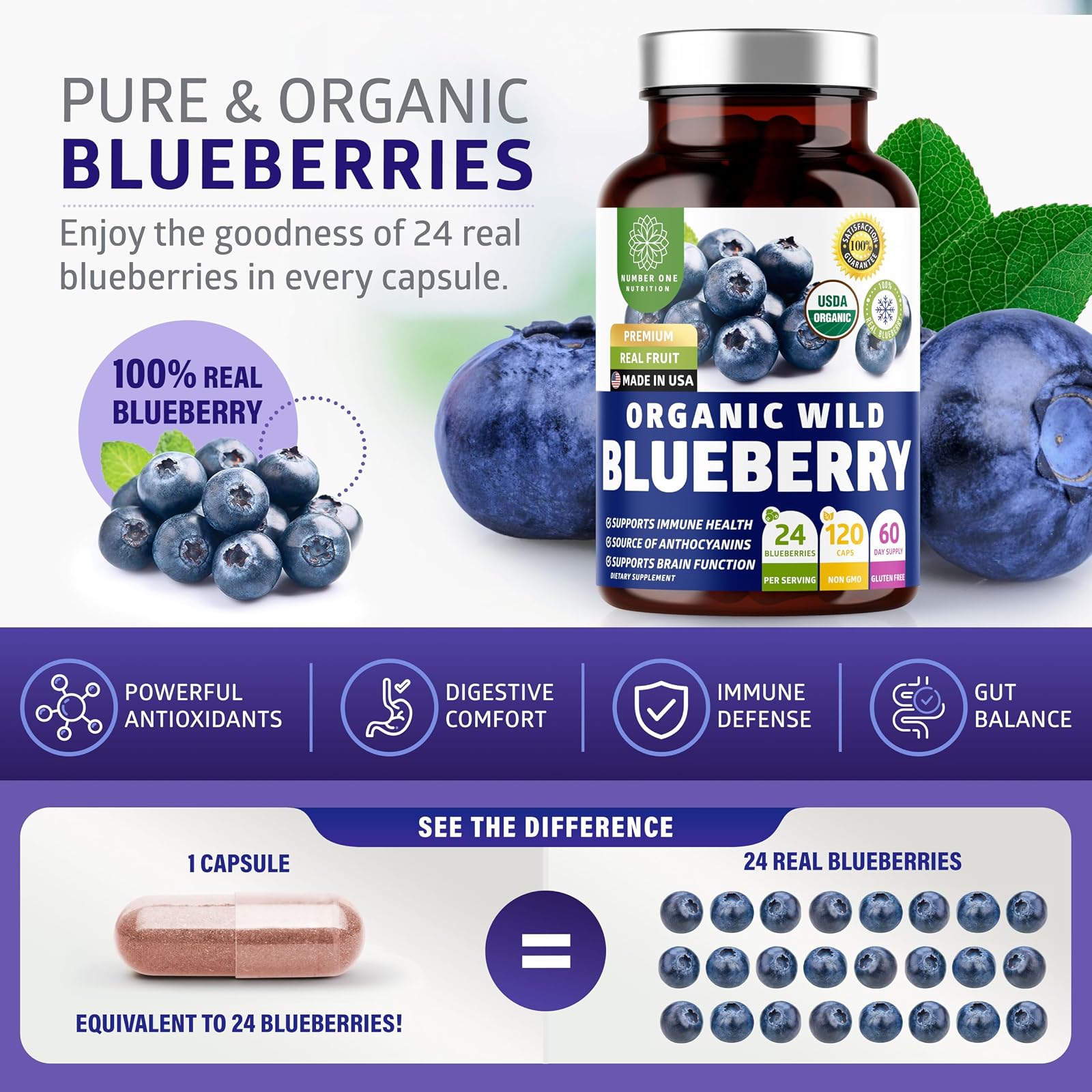 natural antioxidant wild blueberry capsules