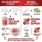 Natural antioxidant with Ginkgo Biloba