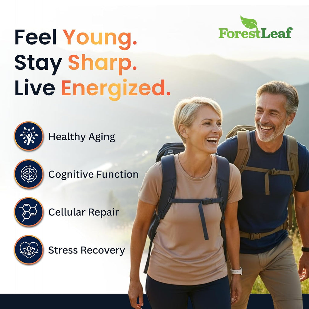 natural antioxidants for cellular support