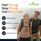 natural antioxidants for cellular support