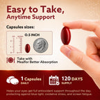 Natural antioxidants for daily health