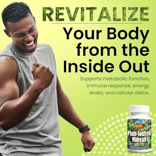 natural antioxidants for daily nutrition