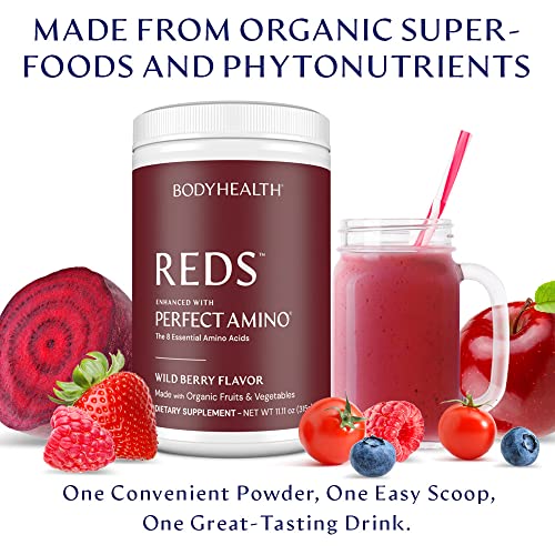 natural antioxidants in berry powder