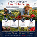 natural antioxidants in herbal tea