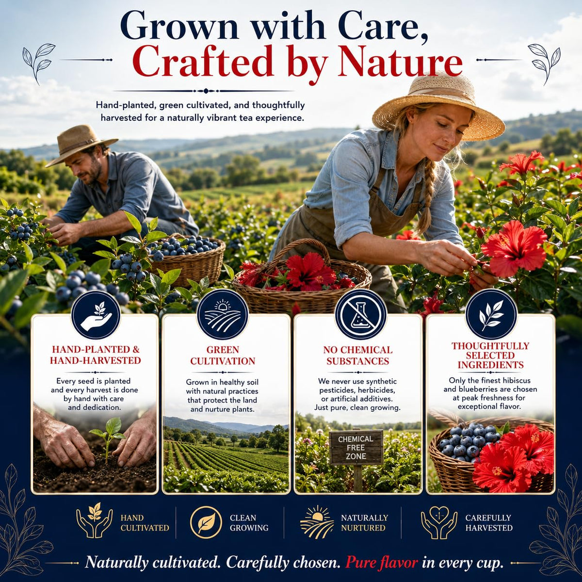 natural antioxidants in herbal tea