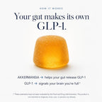 Natural appetite support with GLP-1 gummies