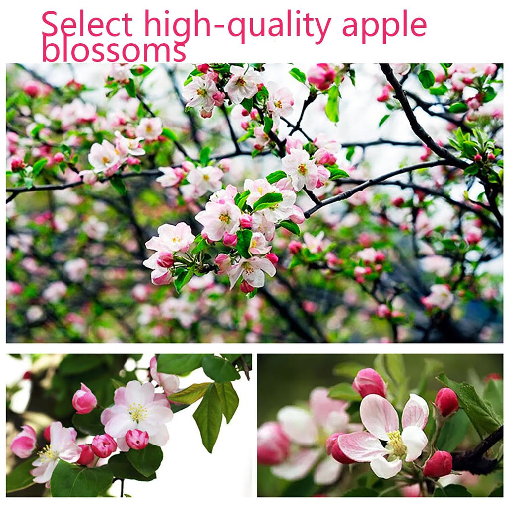Natural apple flower tea benefits