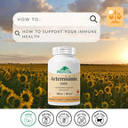 natural Artemisia Annua extract capsules