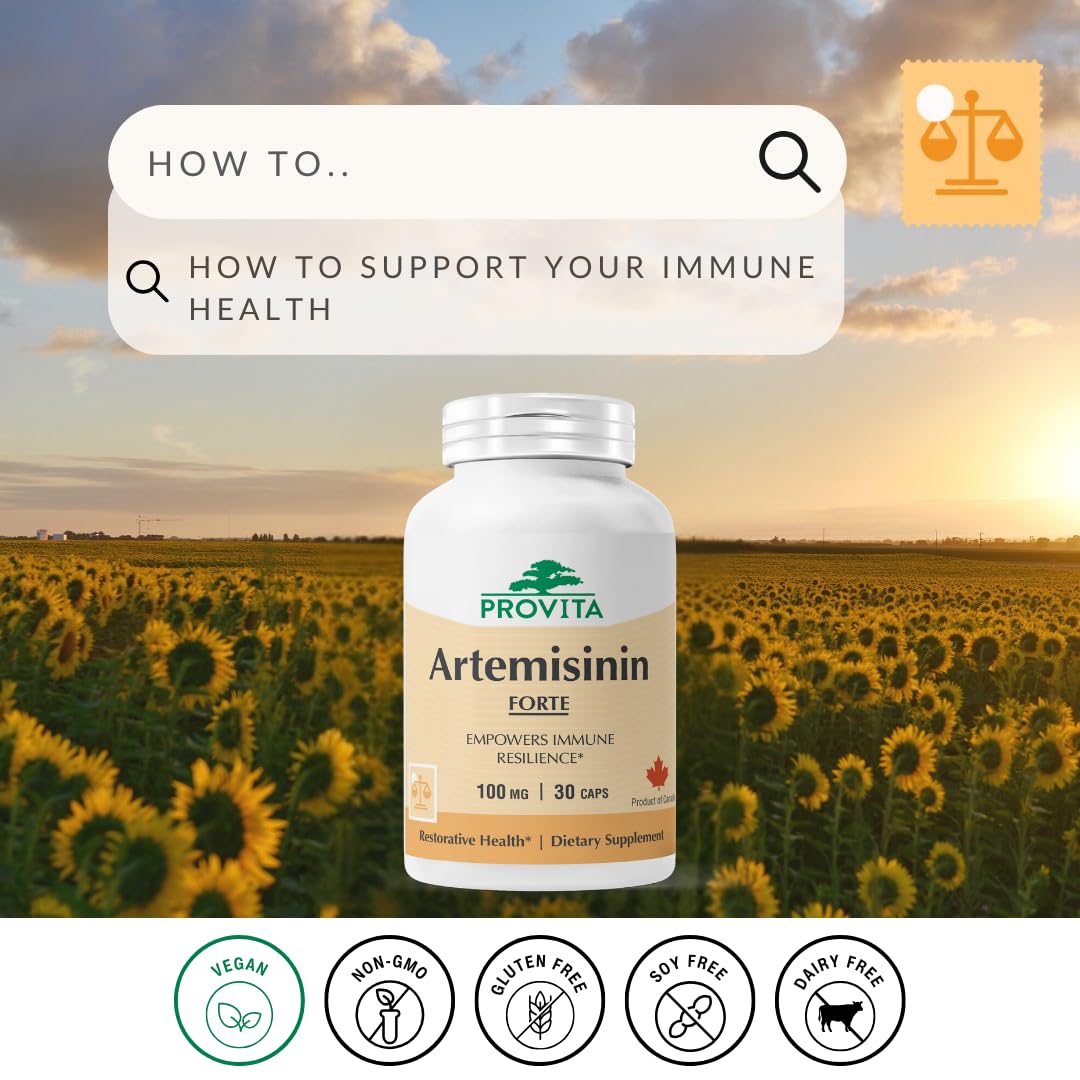 natural Artemisia Annua extract capsules