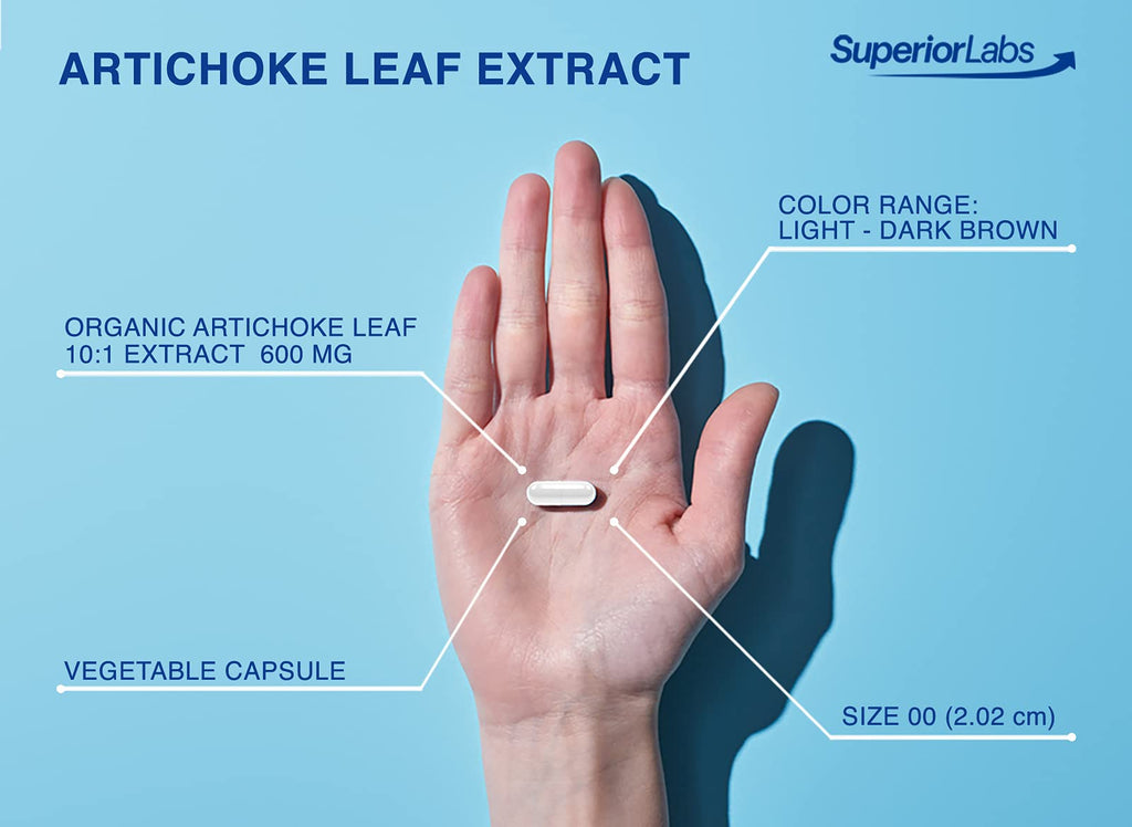 natural artichoke supplement capsules