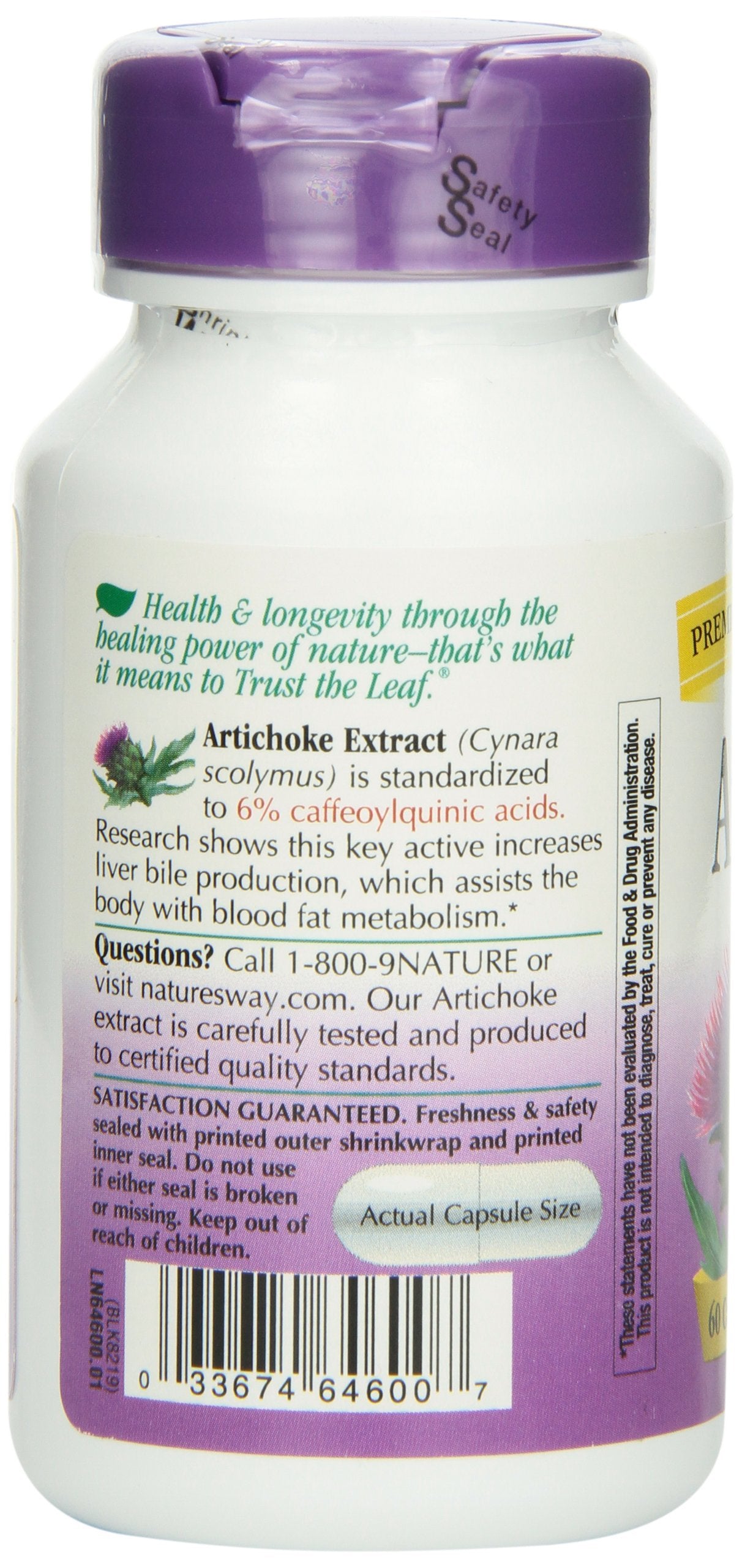 natural artichoke supplement for wellness