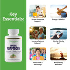 natural ashwagandha blend for energy boost