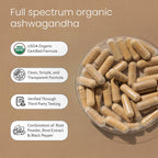 natural ashwagandha for better sleep