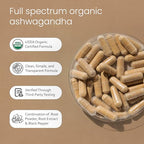 natural ashwagandha for better sleep