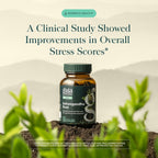 Natural ashwagandha for energy boost