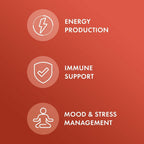 natural ashwagandha supplement for wellness