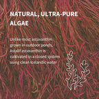 natural Astaxanthin for skin health