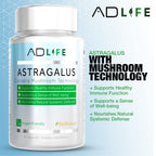 natural astragalus benefits for kidneys