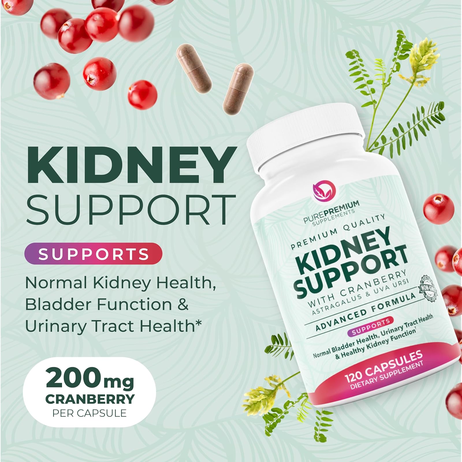 natural astragalus capsules for wellness