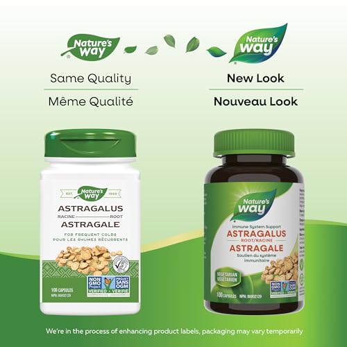 natural astragalus for wellness