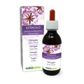 natural astragalus root tincture