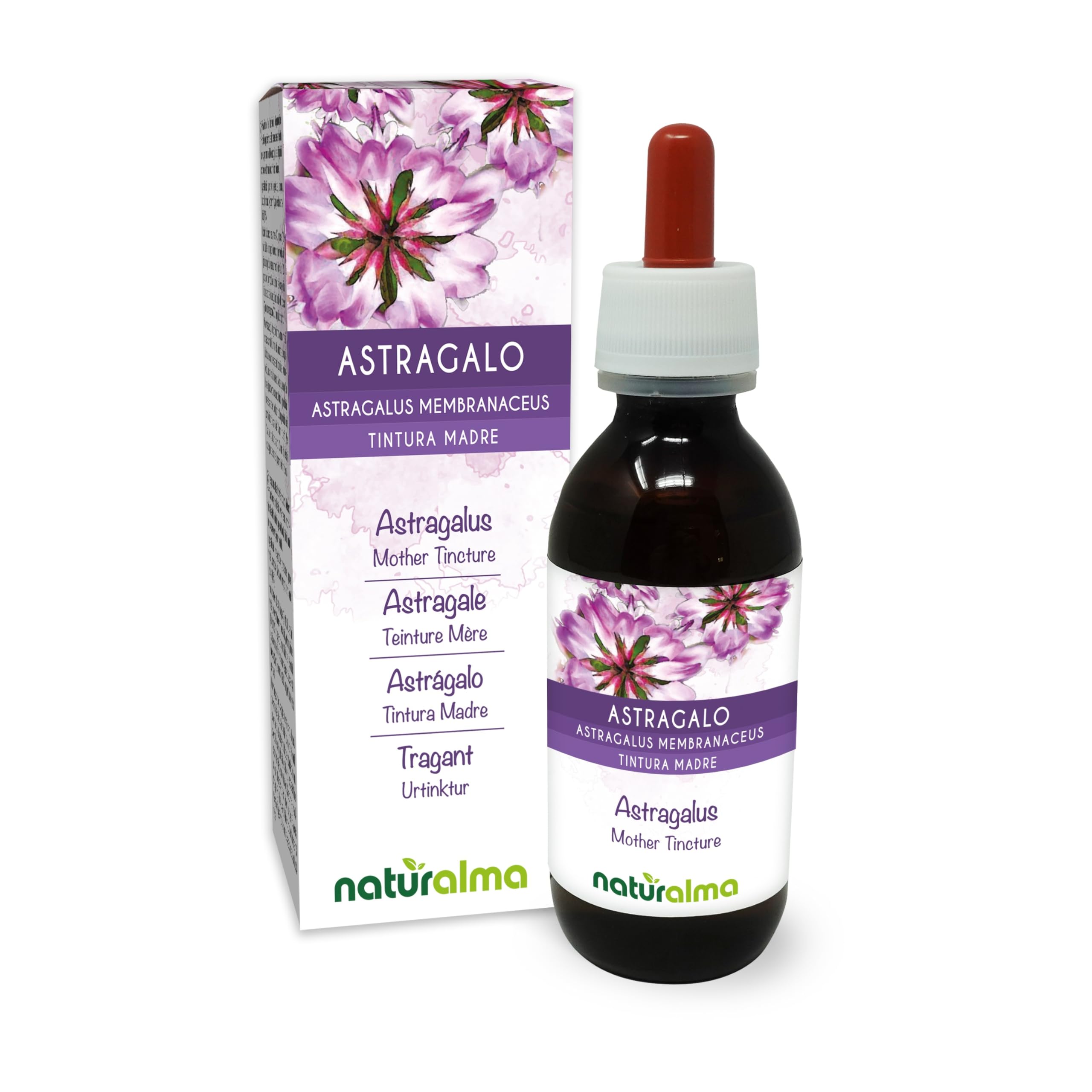 natural astragalus root tincture