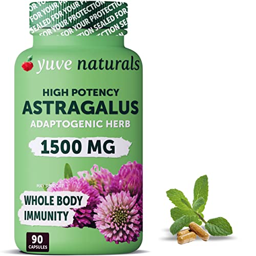 natural astragalus supplement for wellness