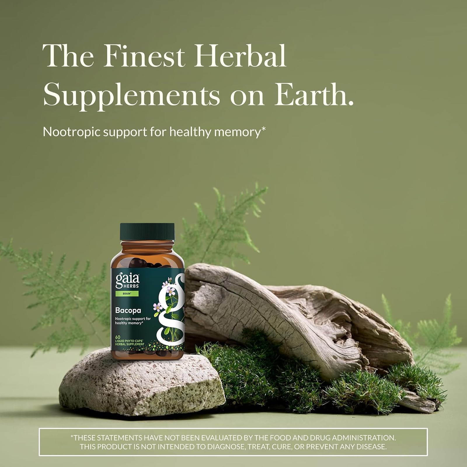 natural Bacopa supplement for wellness