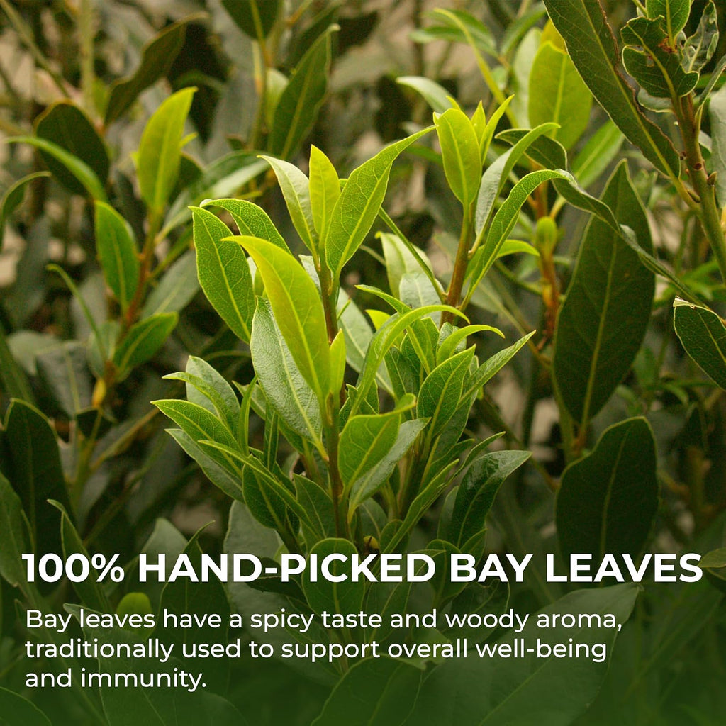 natural bay leaves tea benefits