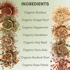 Natural beauty herbal infusion